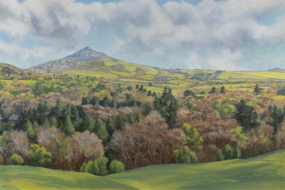 Recent Work – Francesca Sanders Artist