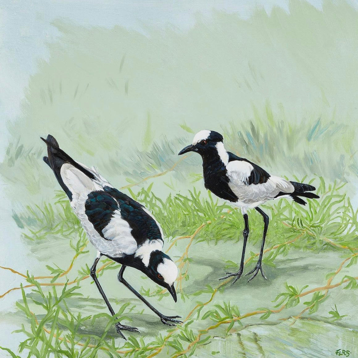 New Available Art – Francesca Sanders Artist