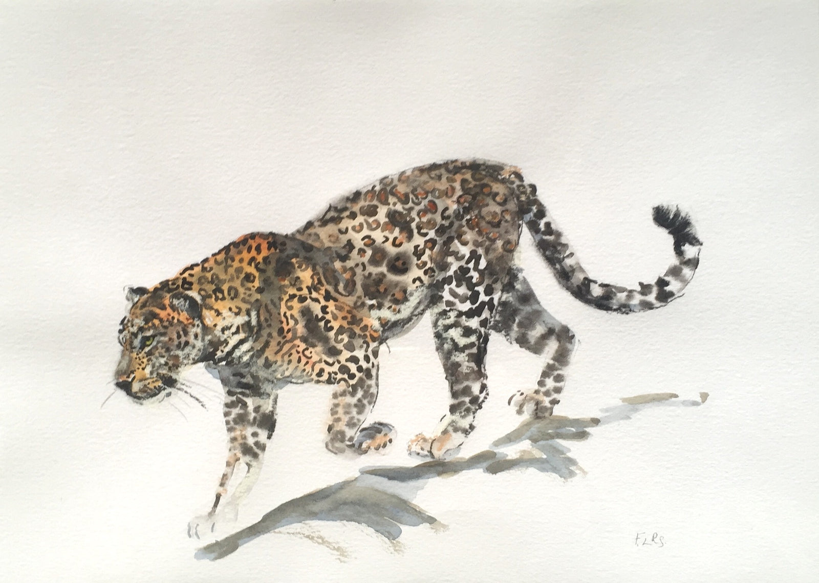 Dogs & Other Animals – Francesca Sanders Artist