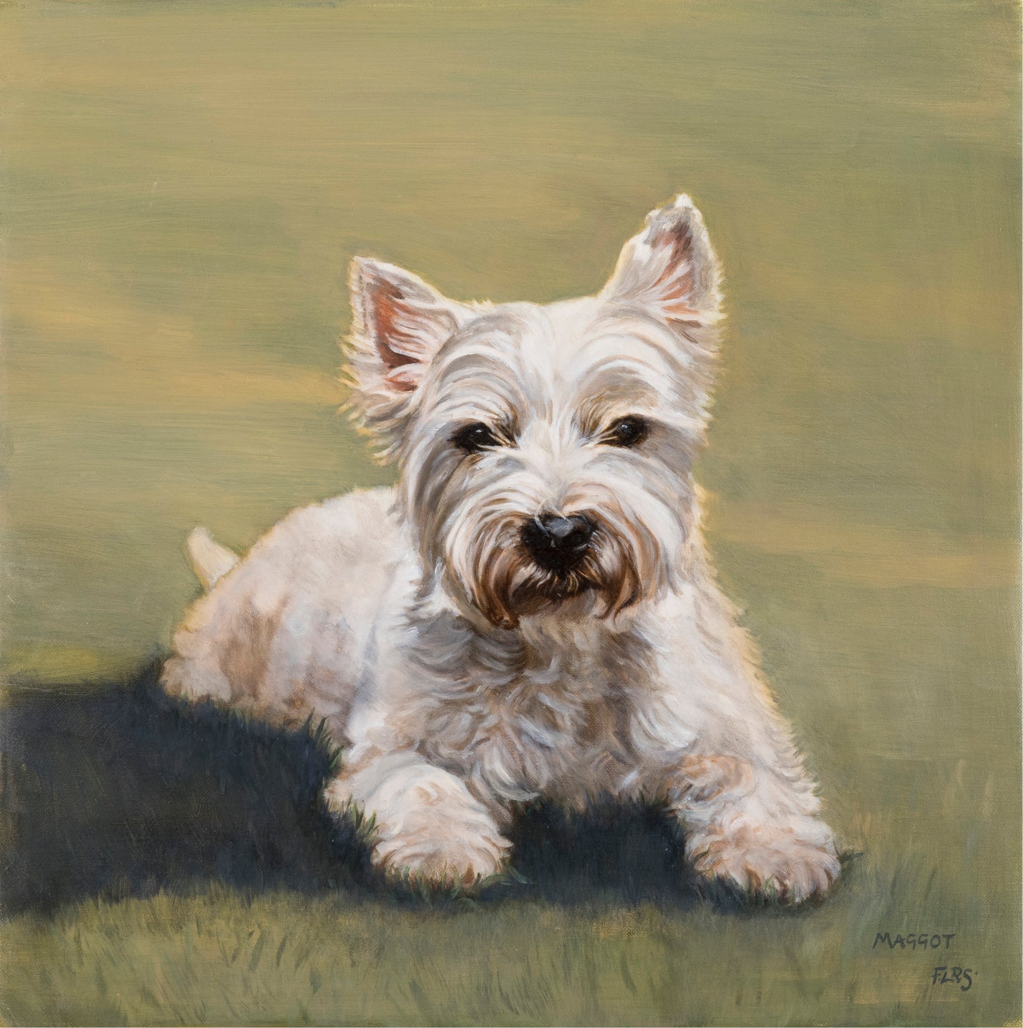 Dogs & Other Animals – Francesca Sanders Artist