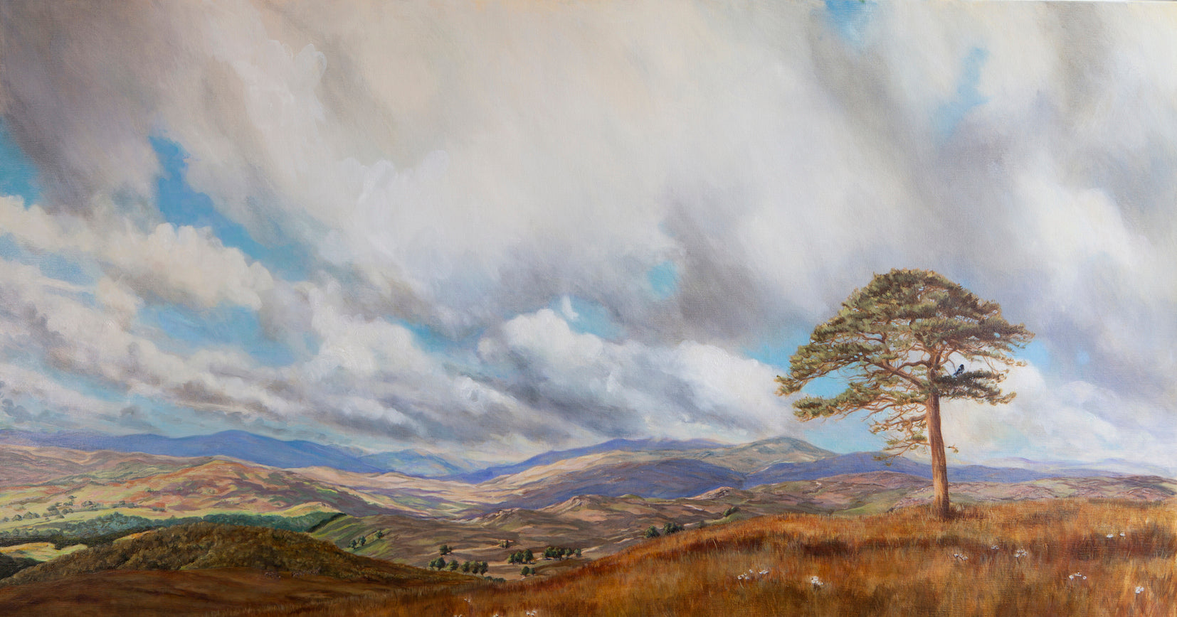 The Joshua Tree – Francesca Sanders Artist