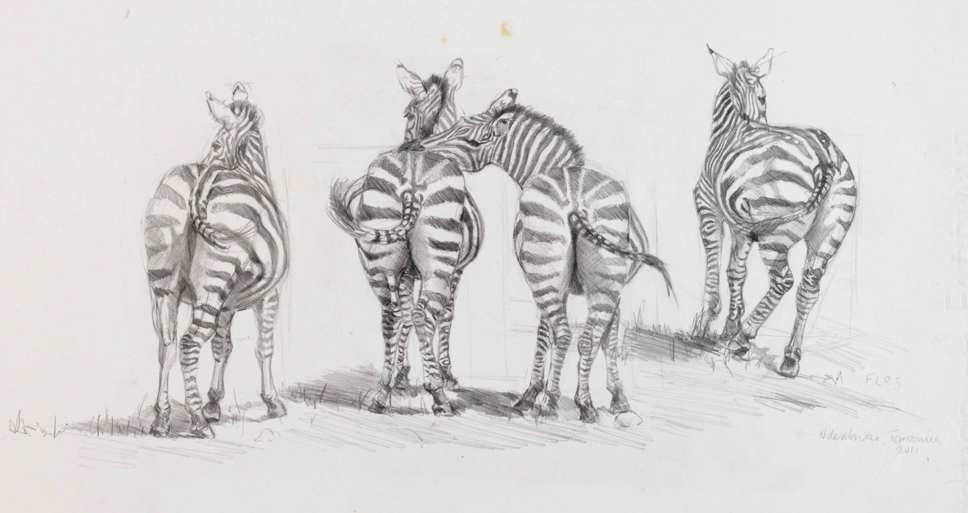 Zebra Bottoms – Francesca Sanders Artist